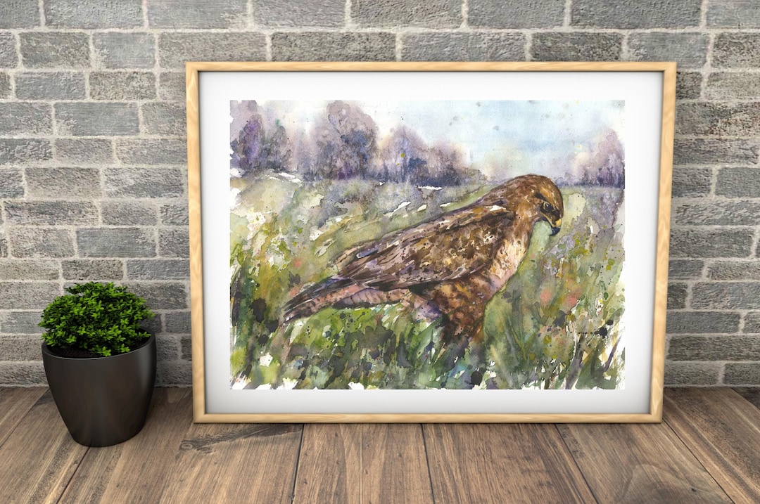 Buzzard Painting, Print From Original Watercolour Painting by Naomi ...