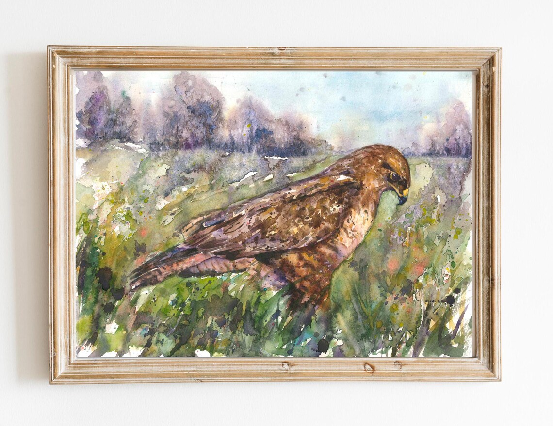 Buzzard Painting, Print From Original Watercolour Painting by Naomi ...