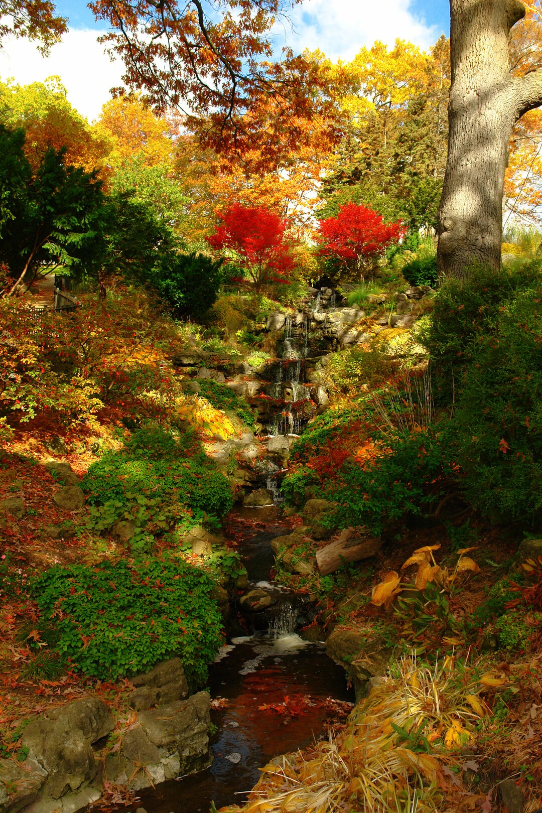 Waterfalls in High Park in Toronto, Canada. Fall Colors - Etsy