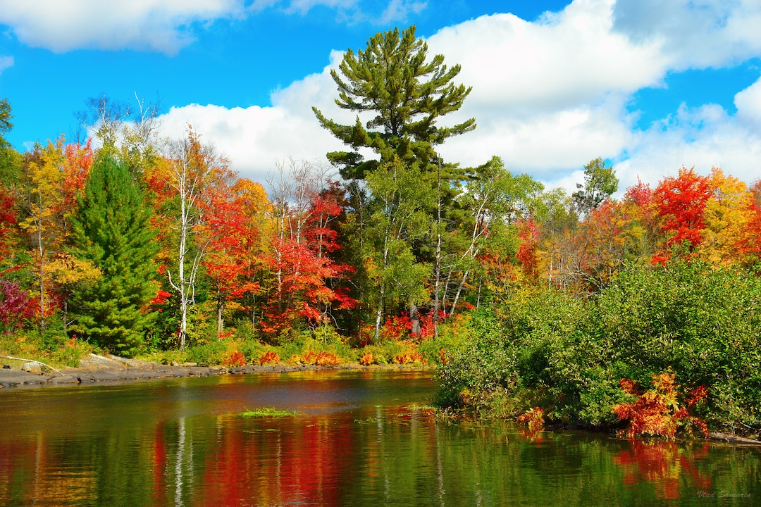 Fall Colors in Ontario - Etsy