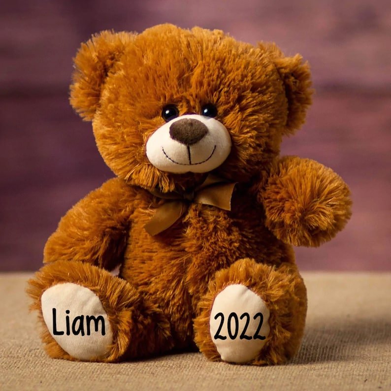 Personalized Teddy Bears-stuffed Bear-my First Teddy - Etsy