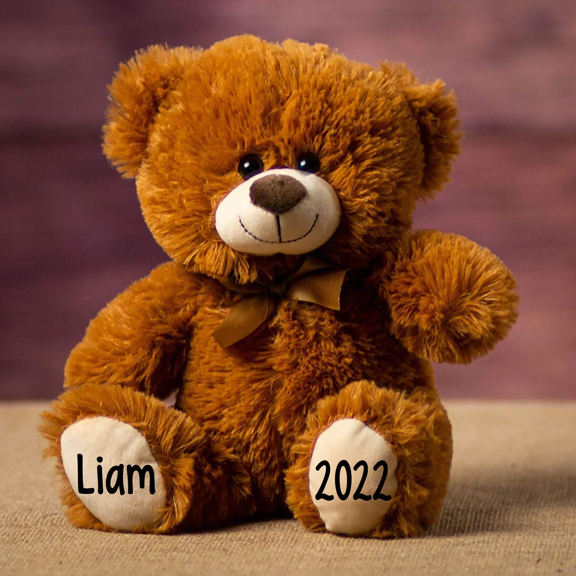 Personalized Teddy Bears-stuffed Bear-my First Teddy - Etsy