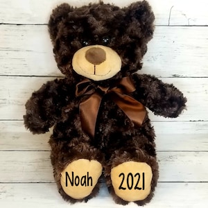 Personalized Teddy Bears-stuffed Bear-my First Teddy - Etsy
