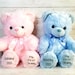 Personalized Teddy Bears-stuffed Bear-my First Teddy Bear-birthday Gift ...