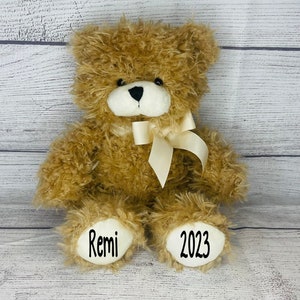 Personalized Teddy Bears-stuffed Bear-my First Teddy - Etsy