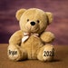 Personalized Teddy Bears-stuffed Bear-my First Teddy - Etsy