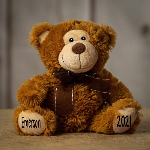 Personalized Teddy Bears-stuffed Bear-my First Teddy - Etsy