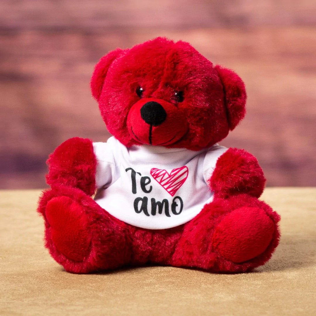 Personalized Valentine's Day Bears-anniversary Gift-anniversary Plush ...