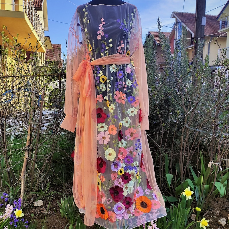 Transparent Dress - Etsy