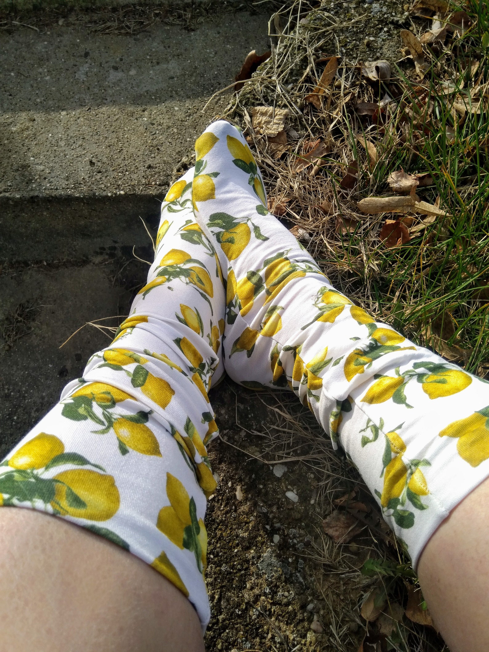 Lemon Socks. Cotton Cute Novelty Fruit Cool Elastic Socks. | Etsy