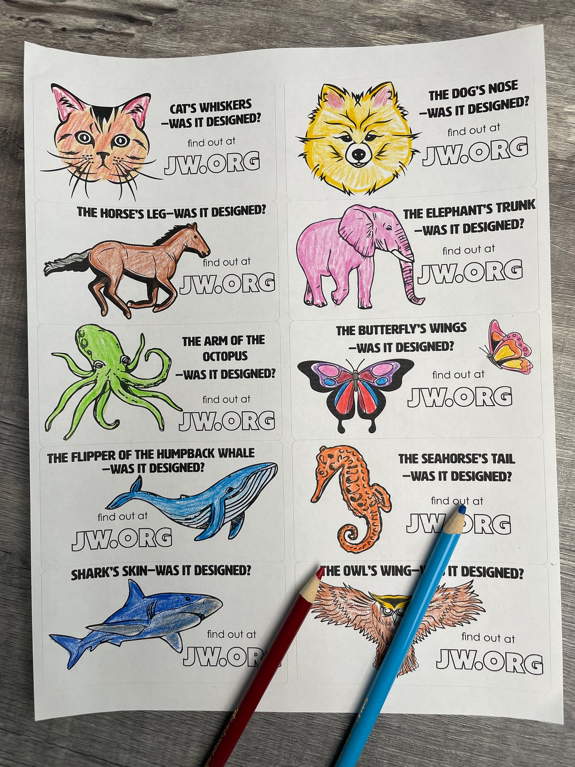 JW Printables, JW Letter Writing Stickers, Was It Designed Animal ...