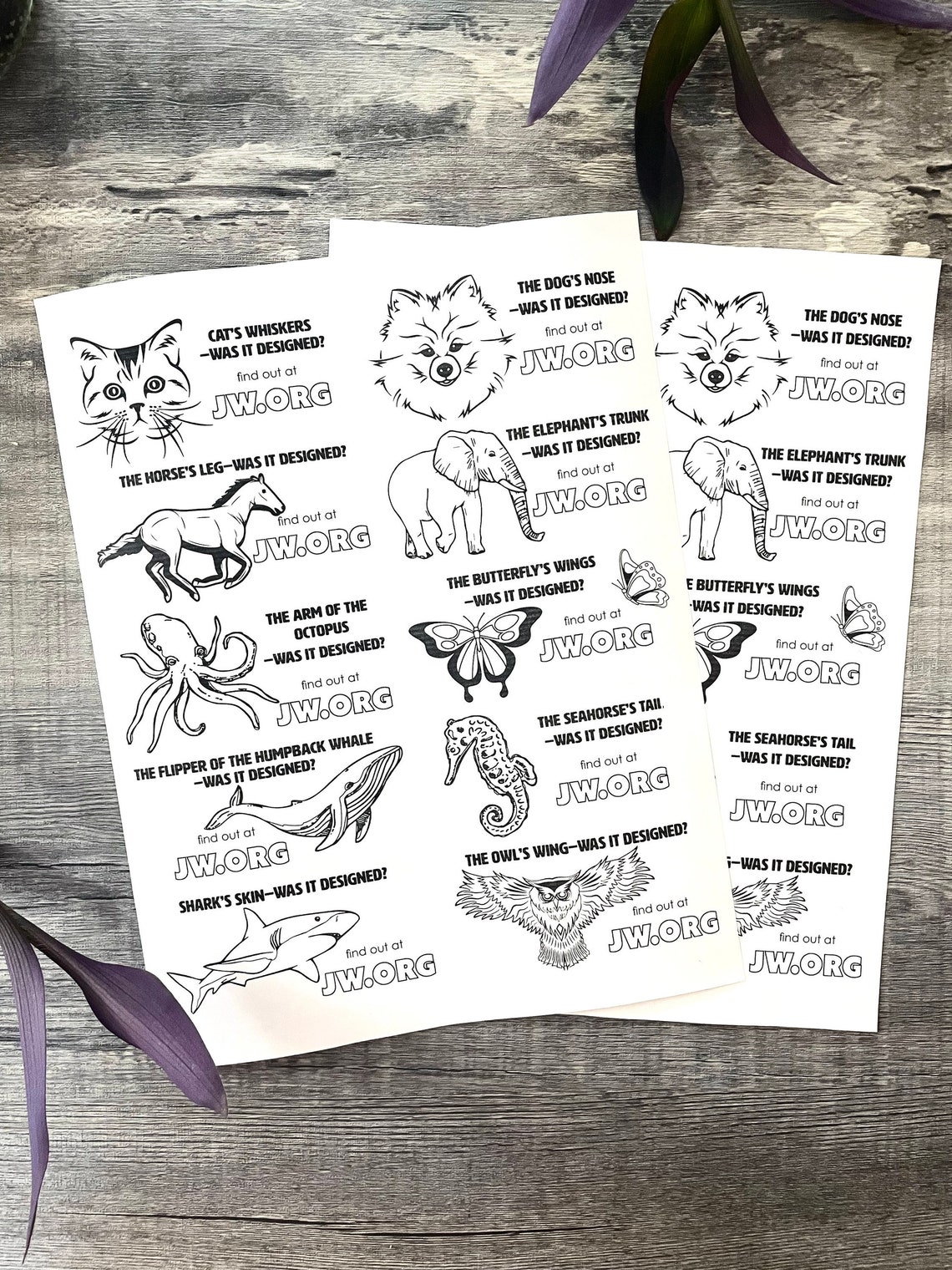 JW Printables, JW Letter Writing Stickers, Was It Designed Animal ...