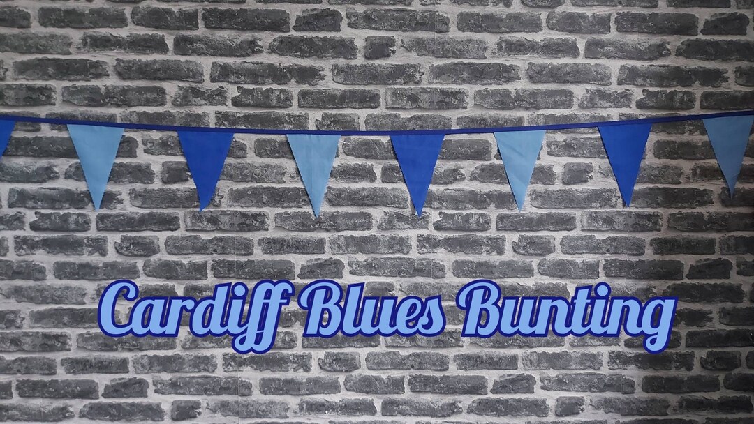 10ft Handmade Rugby Team Colours Fabric - Cardiff Blues - Single Ply ...