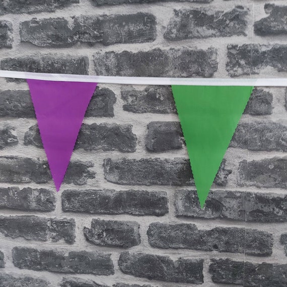 Party Décor Paper & Party Supplies Green Bias Green & Purple Flags ...