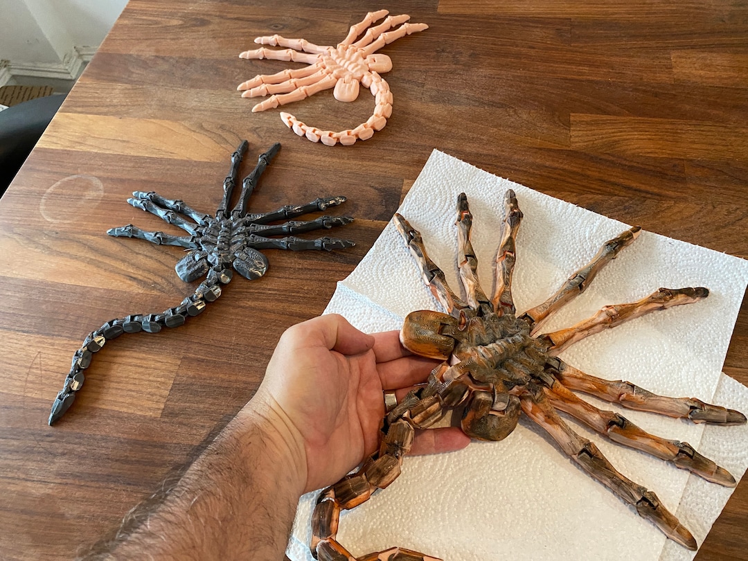 Cool XL Alien Facehugger Hand Painted - Etsy