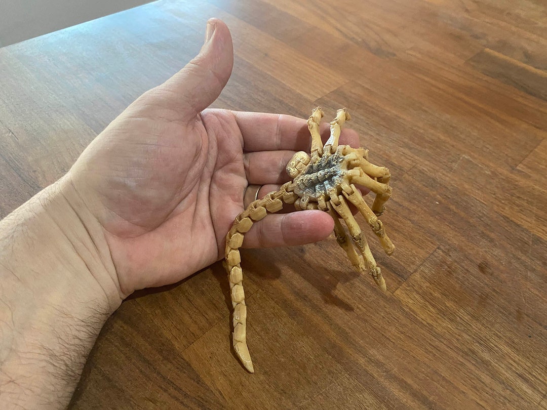 Cool Hand Painted XS Alien Facehugger With Magnet - Etsy
