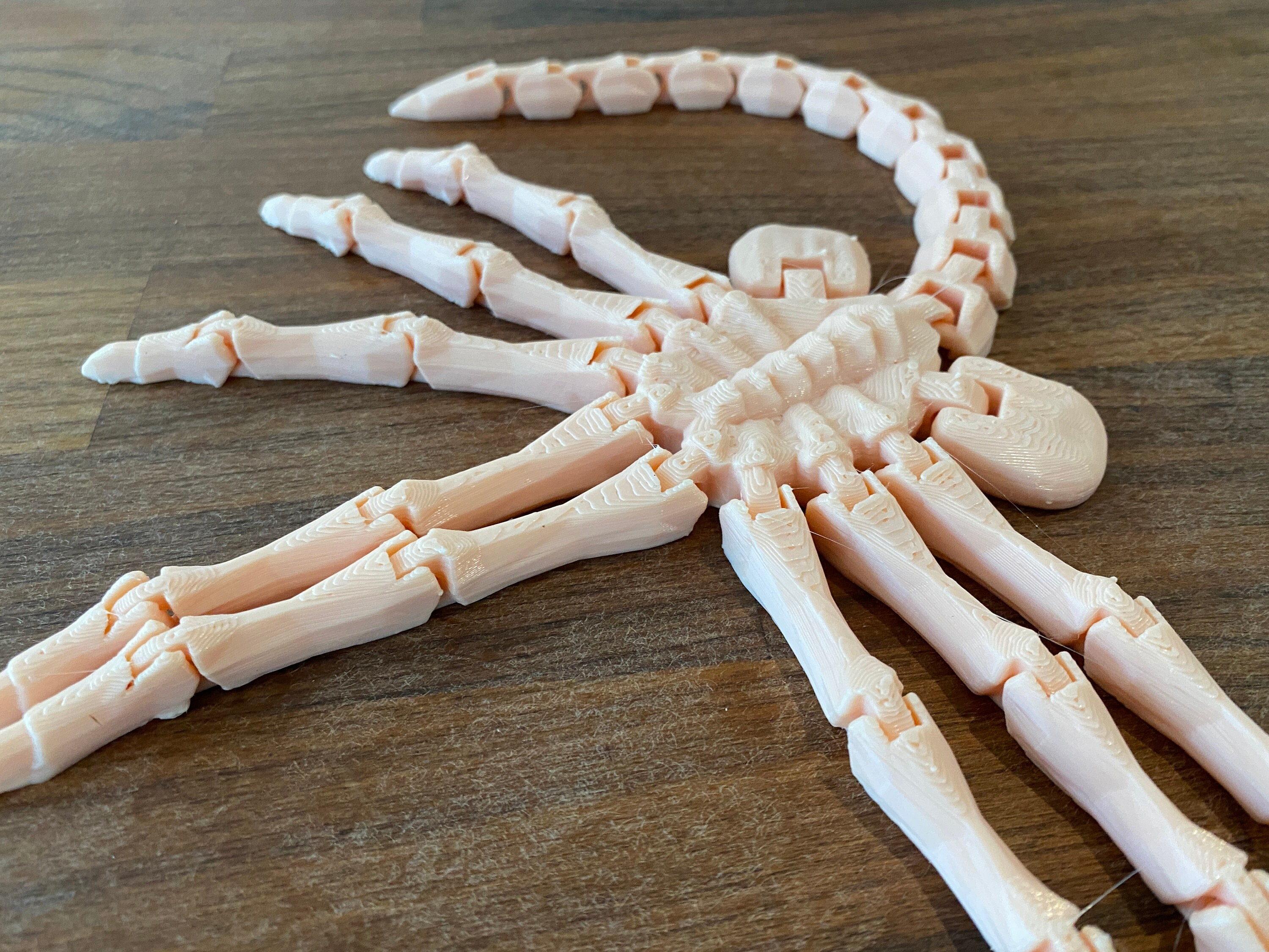 Cool XL Alien Facehugger Hand Painted - Etsy