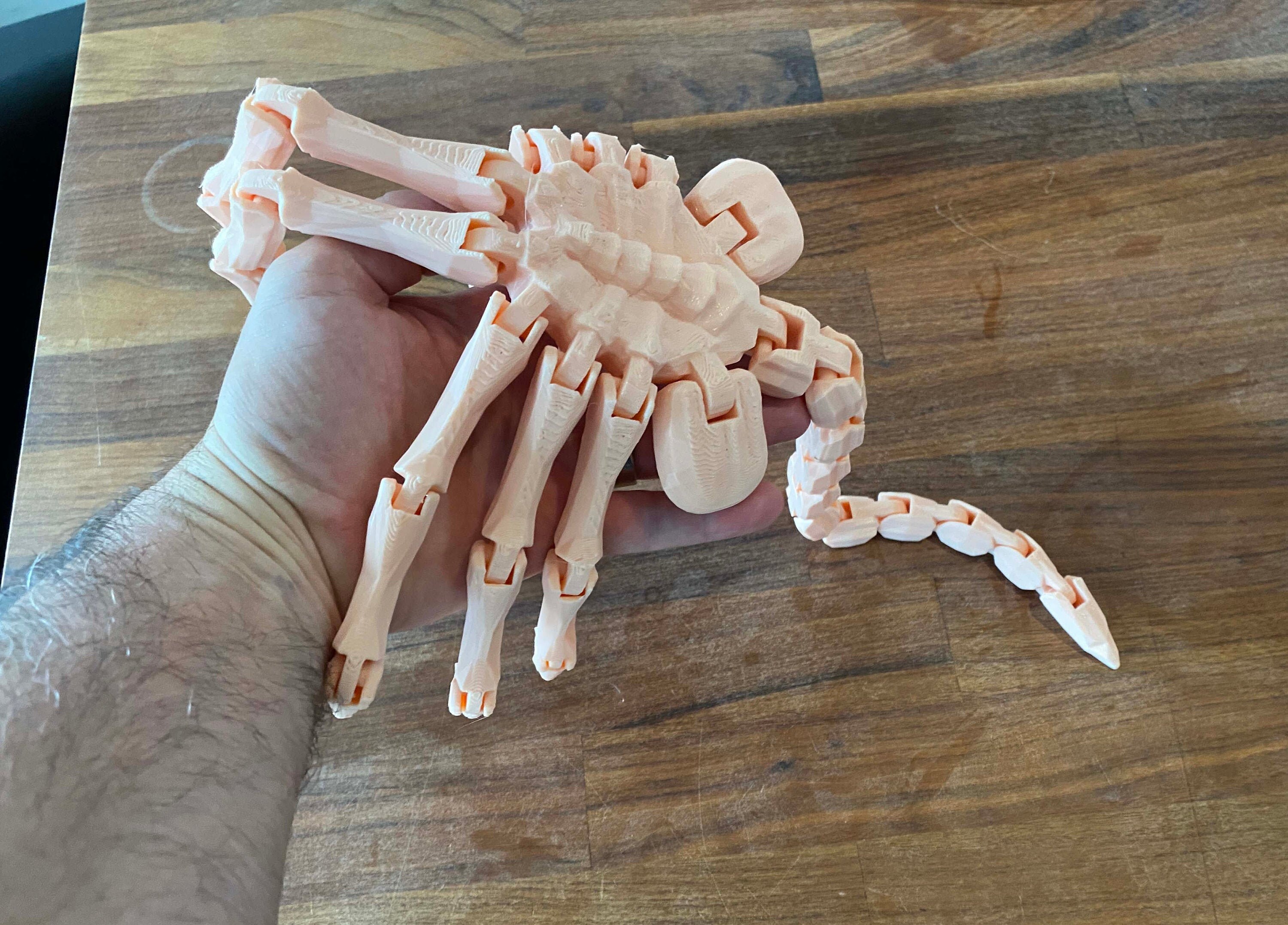 Cool XL Alien Facehugger Hand Painted - Etsy