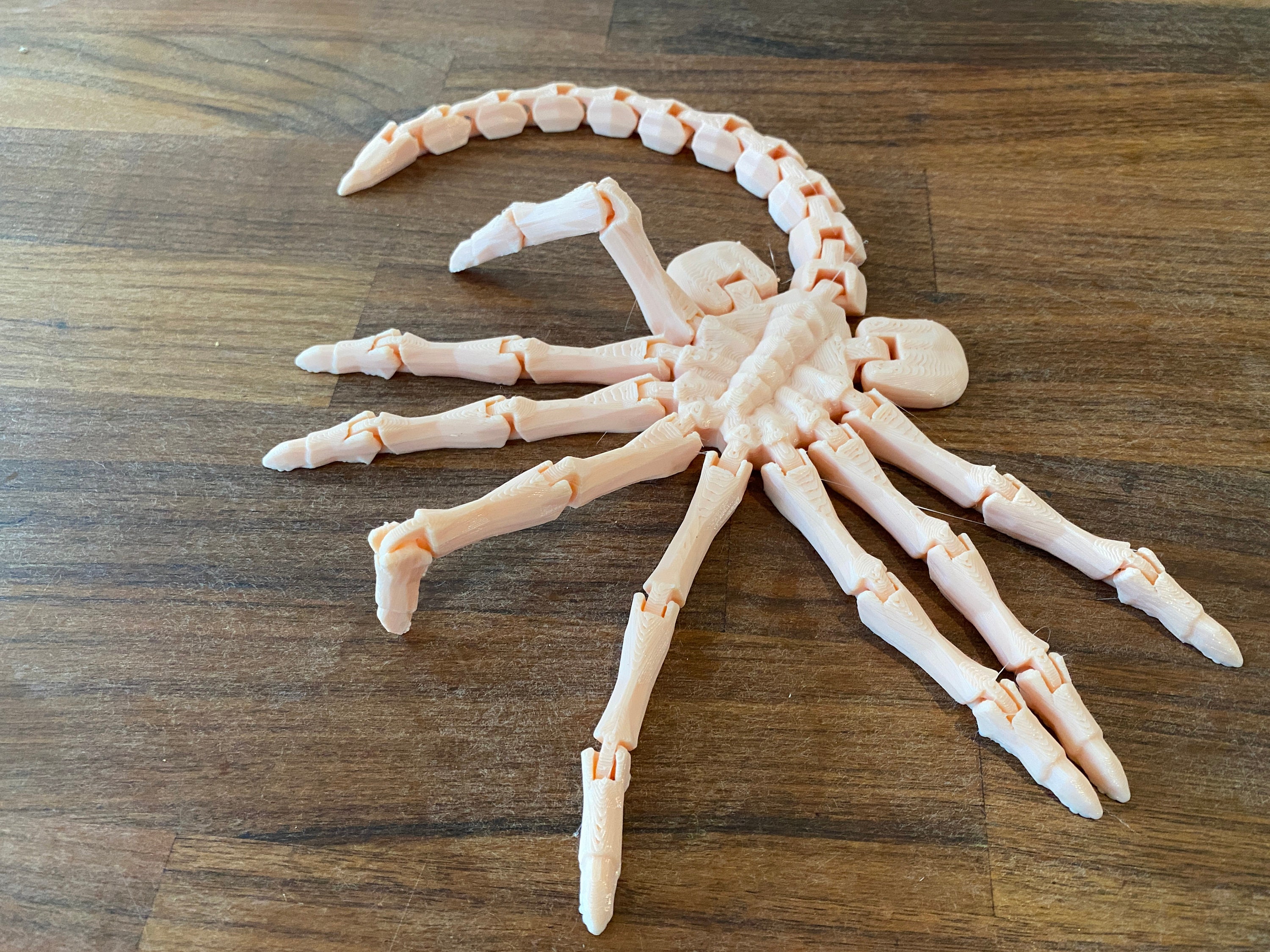 Cool XL Alien Facehugger Hand Painted - Etsy