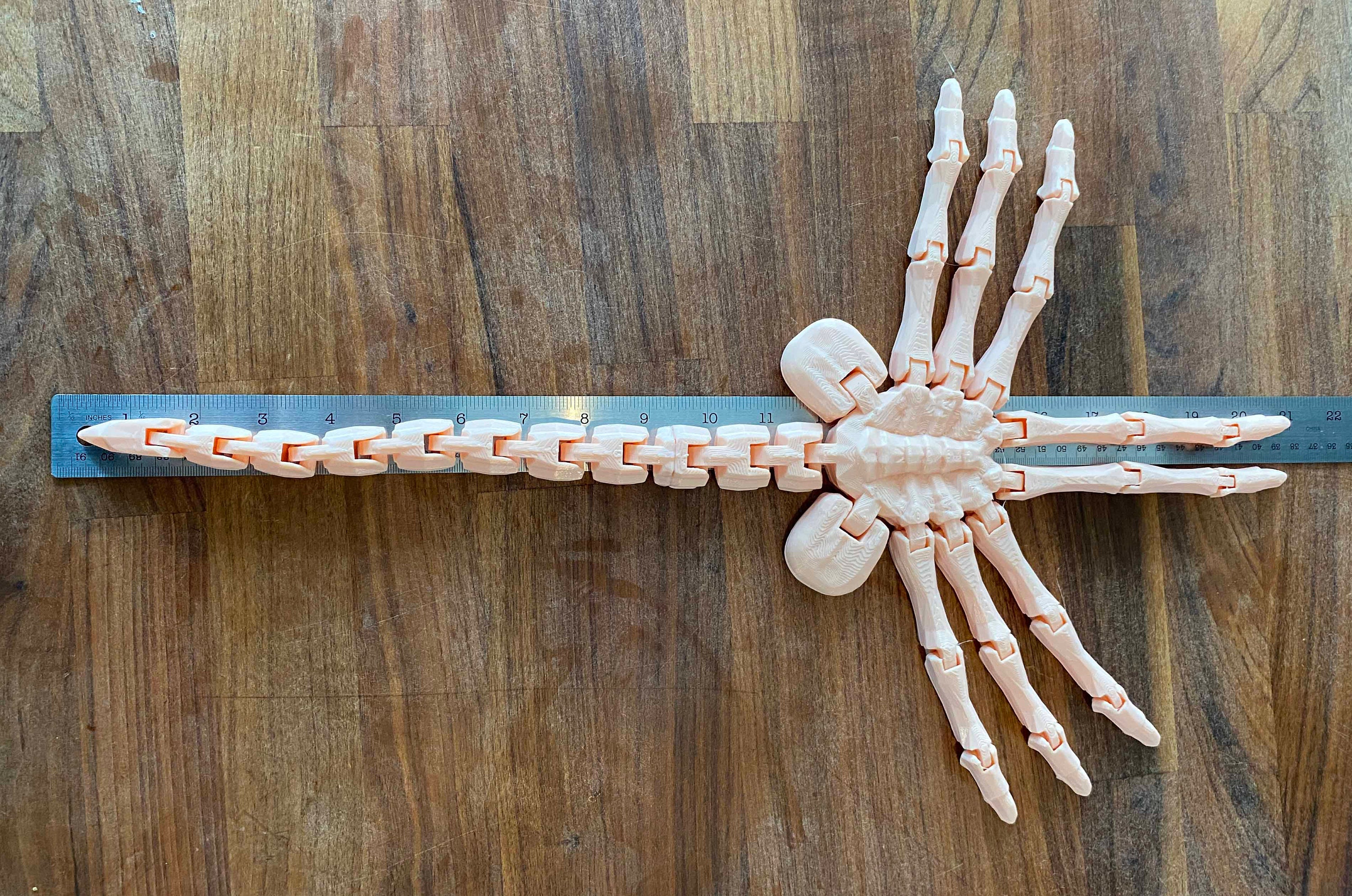 Cool XL Alien Facehugger Hand Painted - Etsy