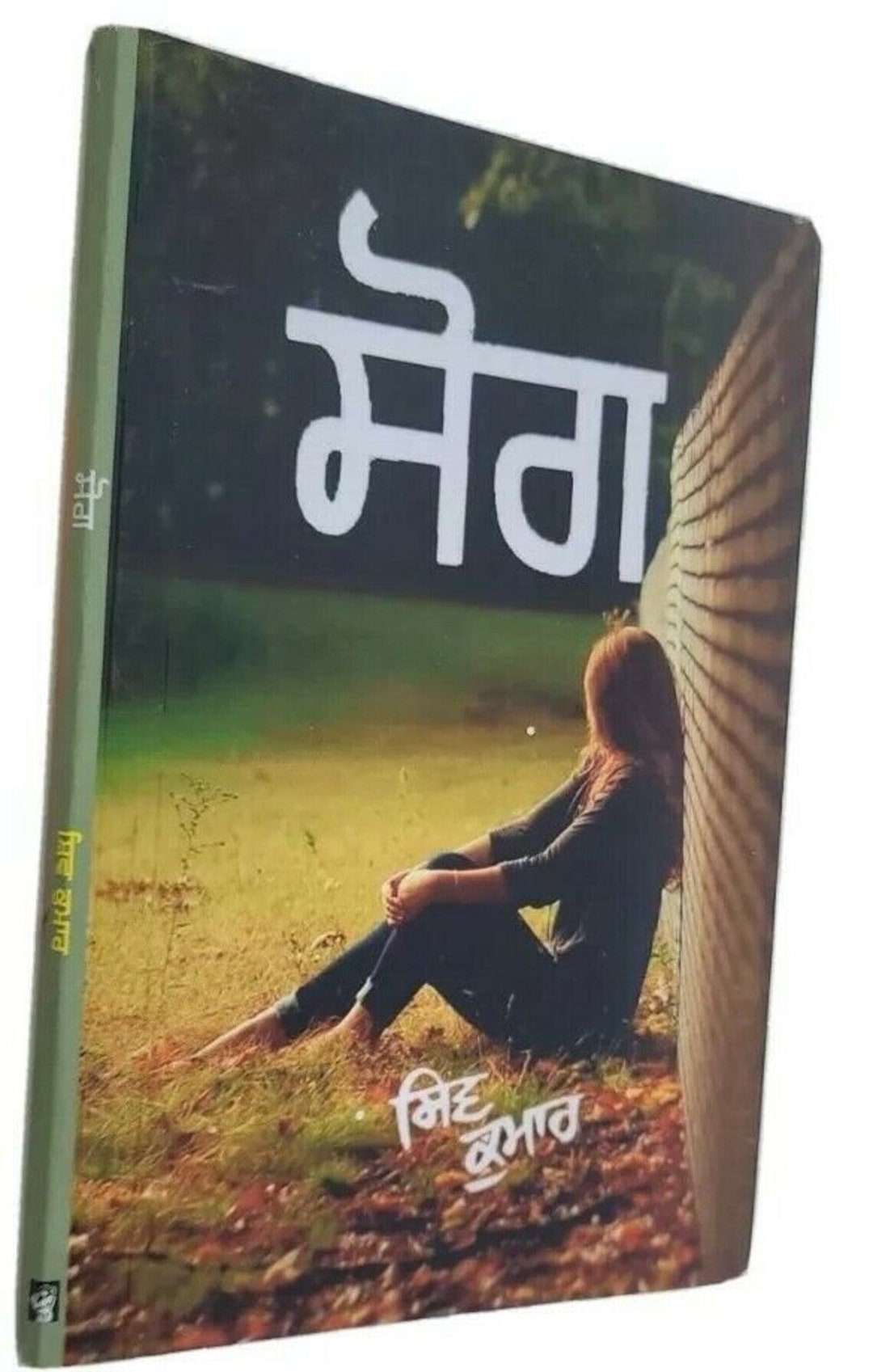 Sog, Poem by Shiv Kumar Batalvi, Punjabi paperback - Etsy