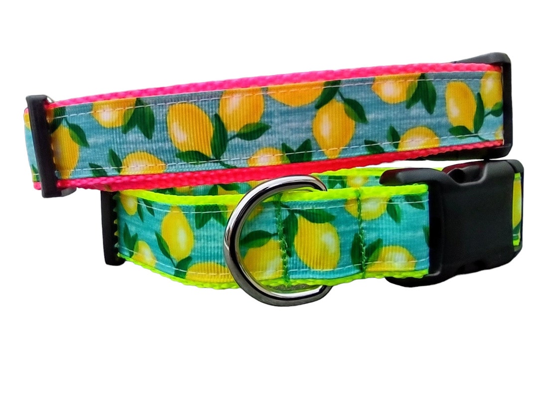Lemon Dog Collar - Etsy