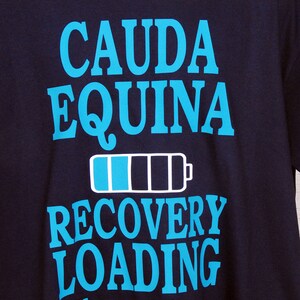 Cauda Equina Recovery Loading T-shirt - Etsy