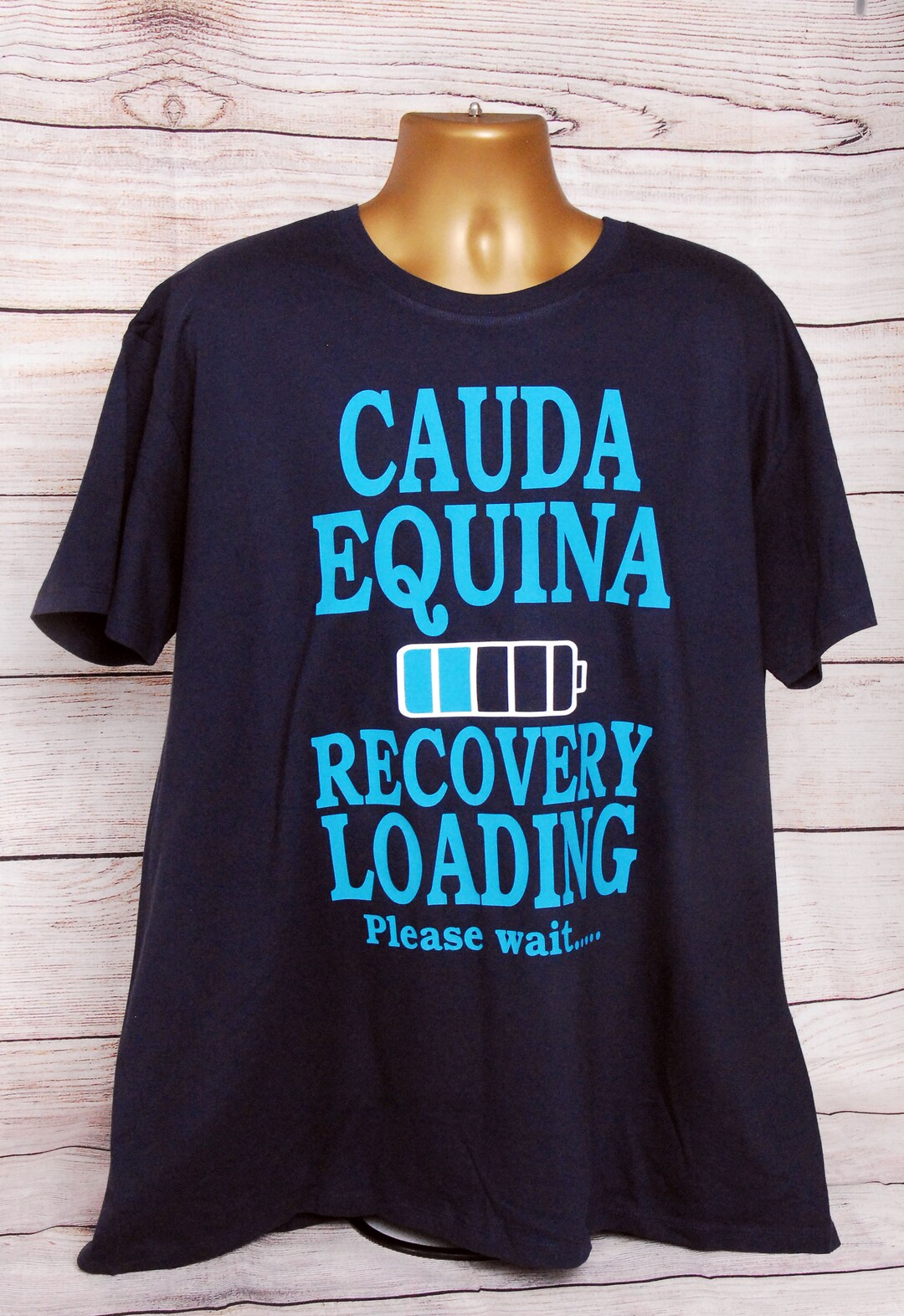 Cauda Equina Recovery Loading T-shirt - Etsy