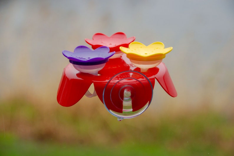 Hummingbird Ring Feeder Trainer Starter Kit - NEW and IMPROVED - Etsy