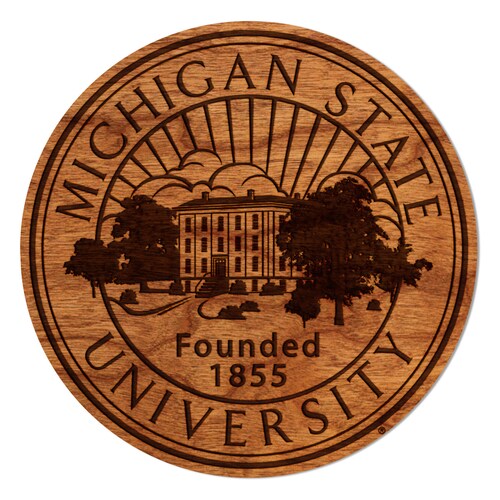 Michigan State University Spartan Head Wall Hanging Officially - Etsy