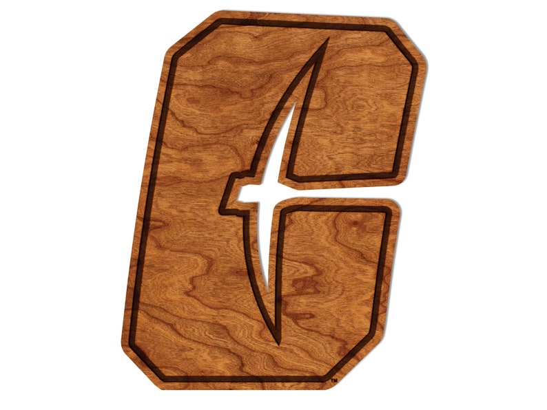 University of North Carolina Charlotte UNCC Wall Hanging - Etsy