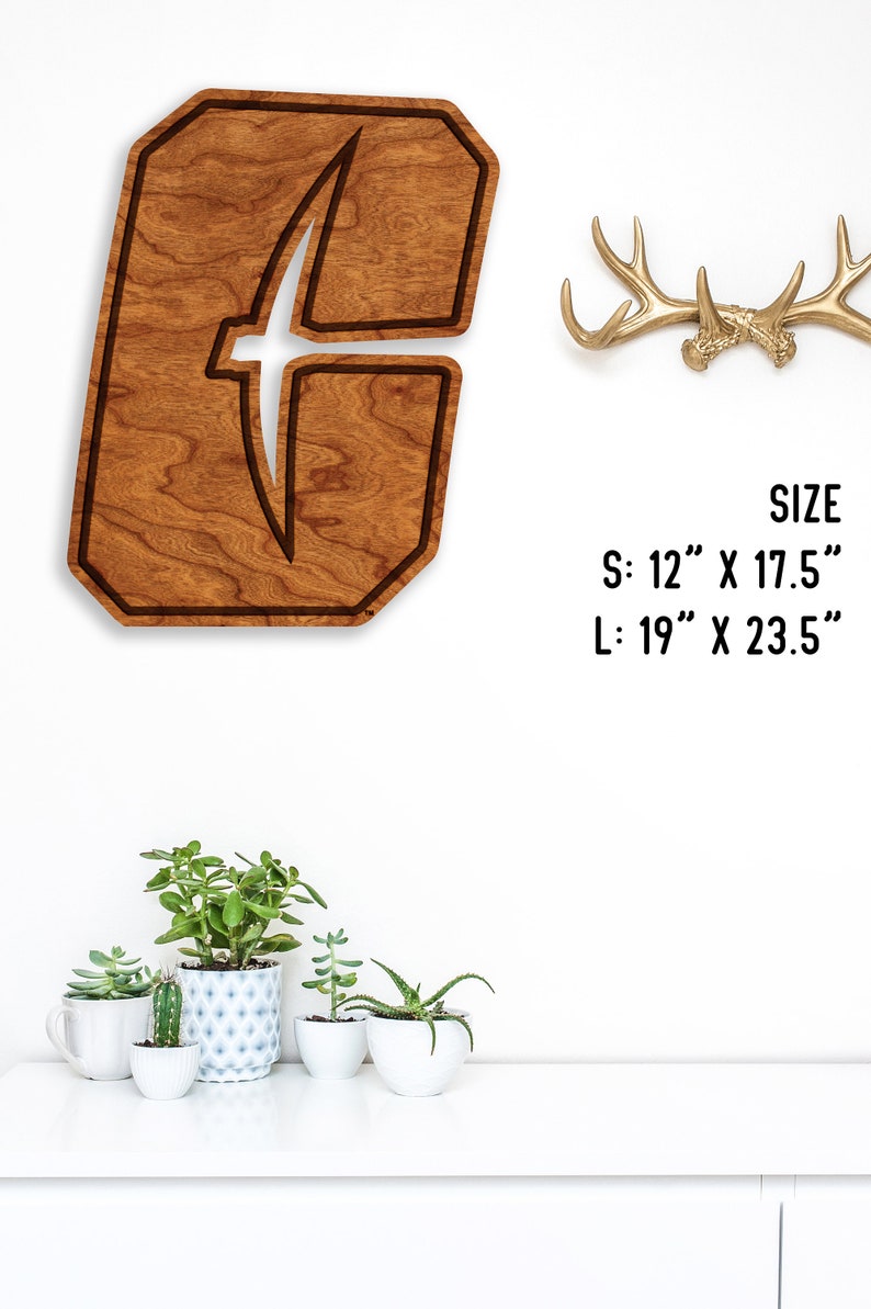 University of North Carolina Charlotte UNCC Wall Hanging - Etsy