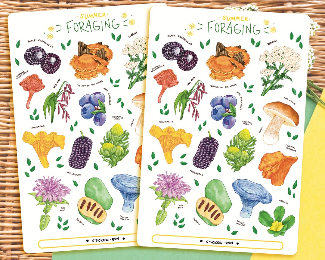 Summer Foraging Sticker Sheet | Journal Stickers | Planner Stickers ...