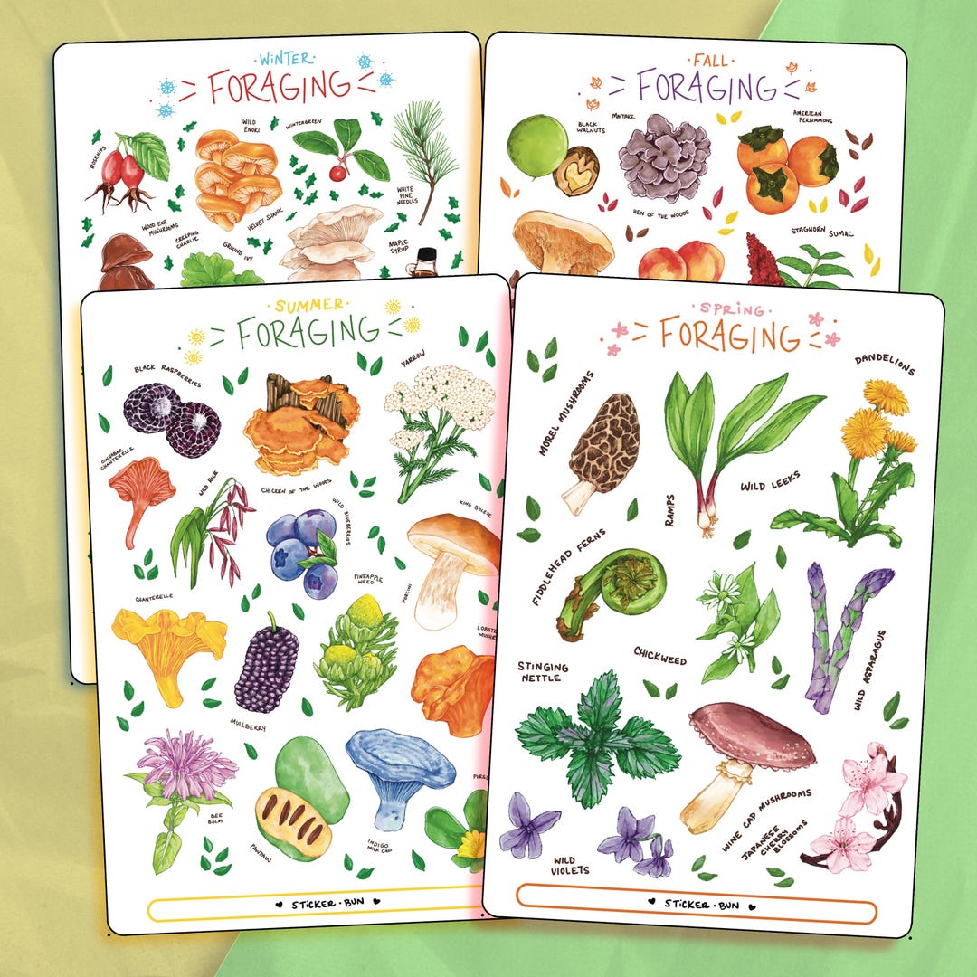 Foraging Sticker Sheet Bundle| Journal Stickers | Planner Stickers ...