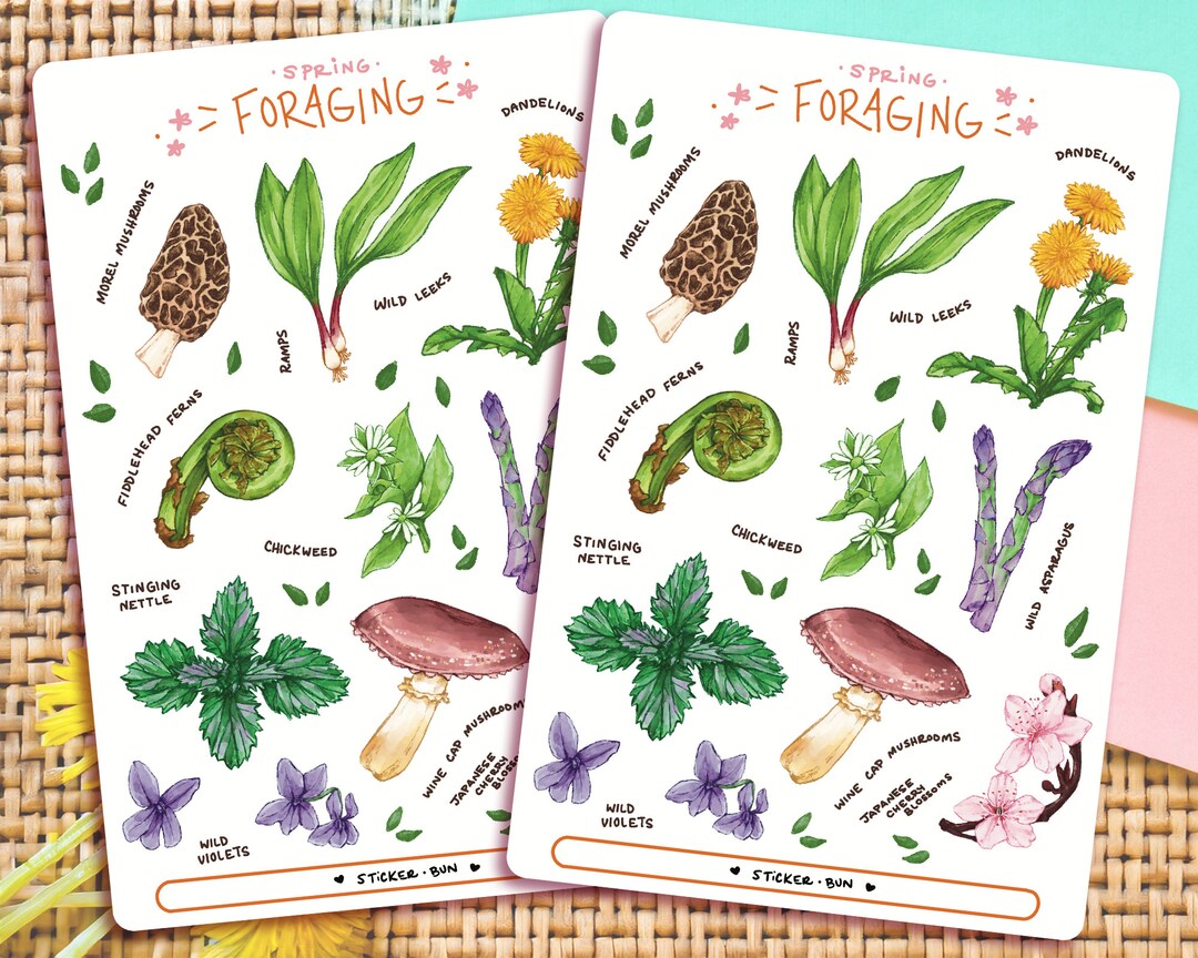 Spring Foraging Sticker Sheet | Journal Stickers | Planner Stickers ...