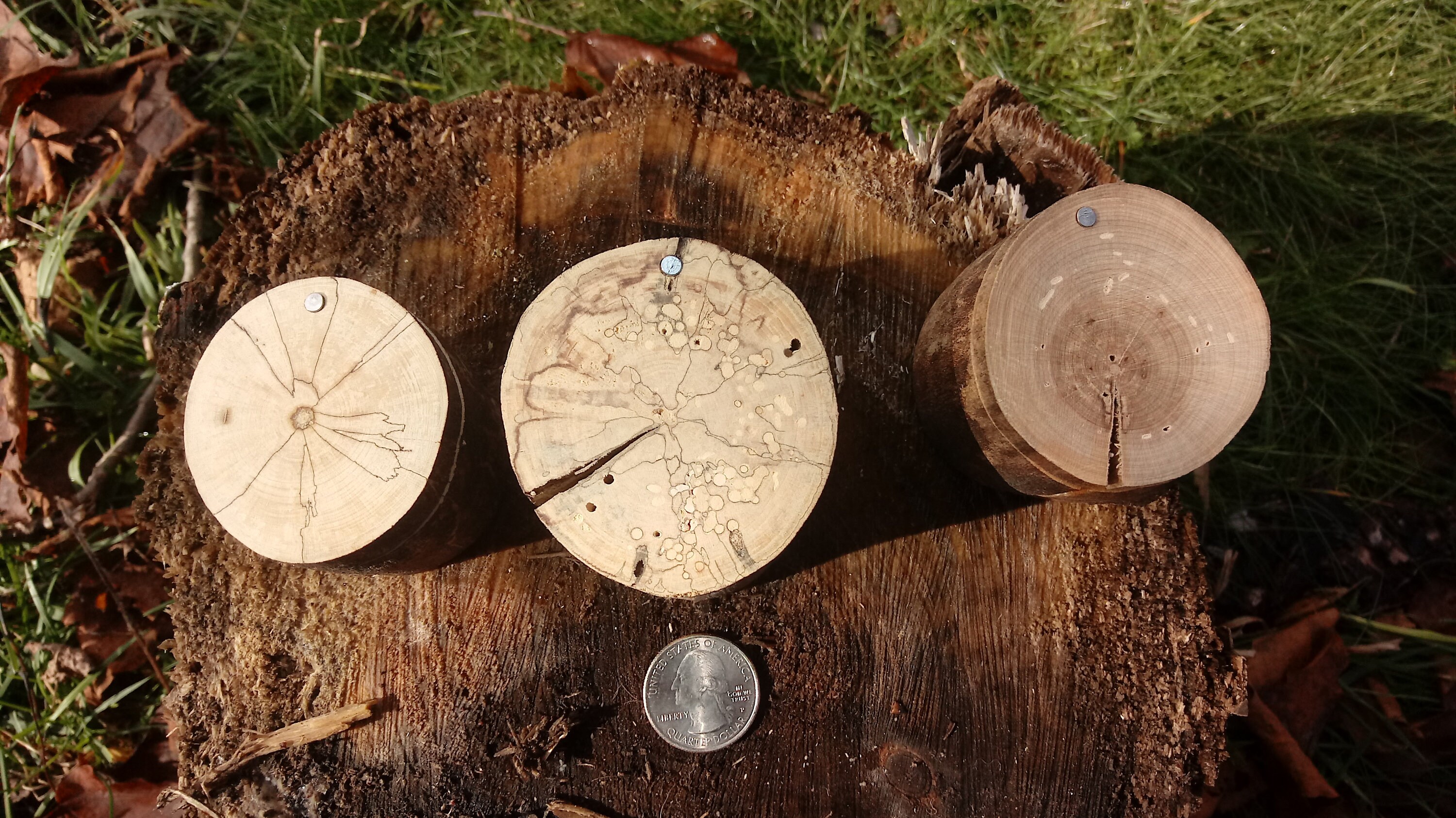 Natural Wood, Ring Box, Wood Ring Box, Jewelry Box, Trinket Box, Blank ...