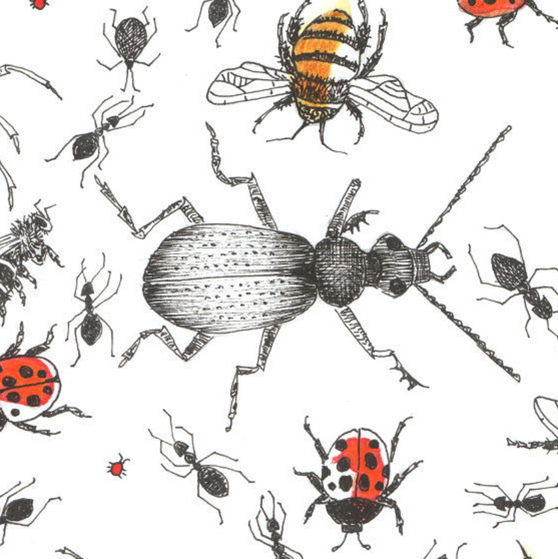 Insect Tea-towel Unbleached Cotton Illustrated by Fiona Willis With ...