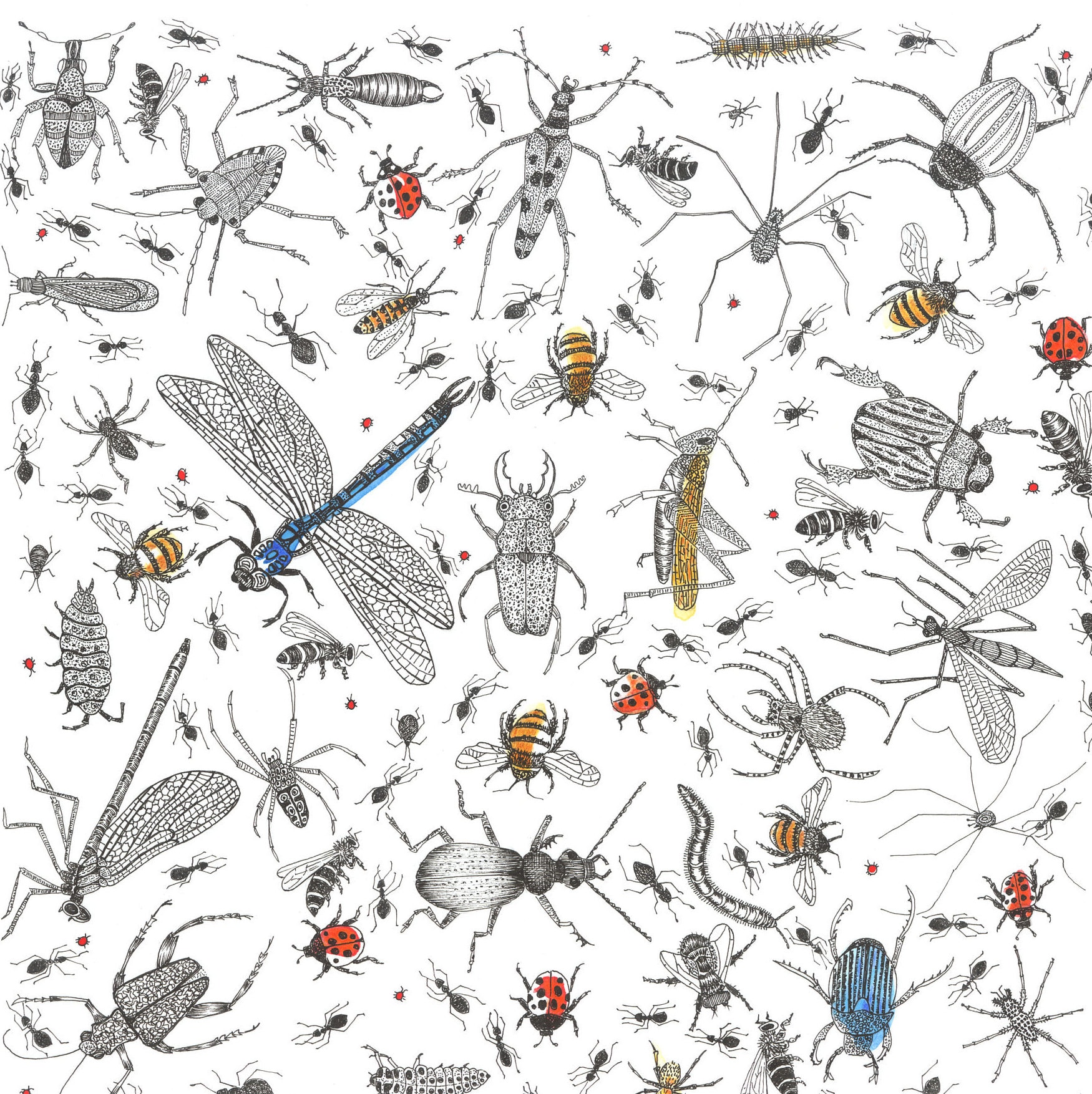 Insect Tea-towel Unbleached Cotton Illustrated by Fiona Willis With ...