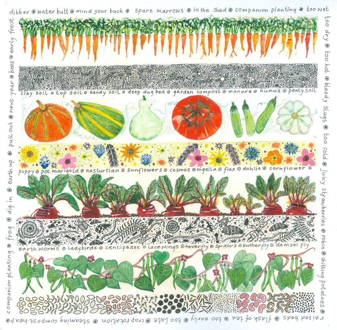 Vegetable Patch Signed Illustrated Print by Fiona Willis Wall Hanging ...