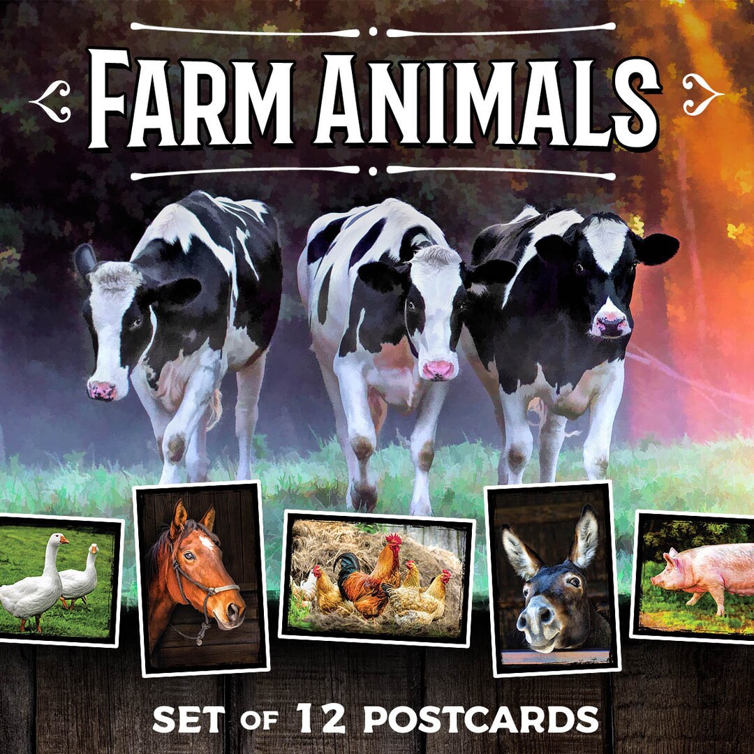 Farm Animal Postcards | Set of 12 | 4x6 - Etsy