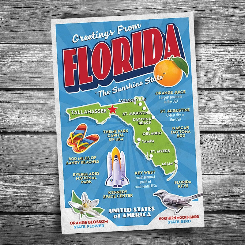 Florida Postcard - Etsy