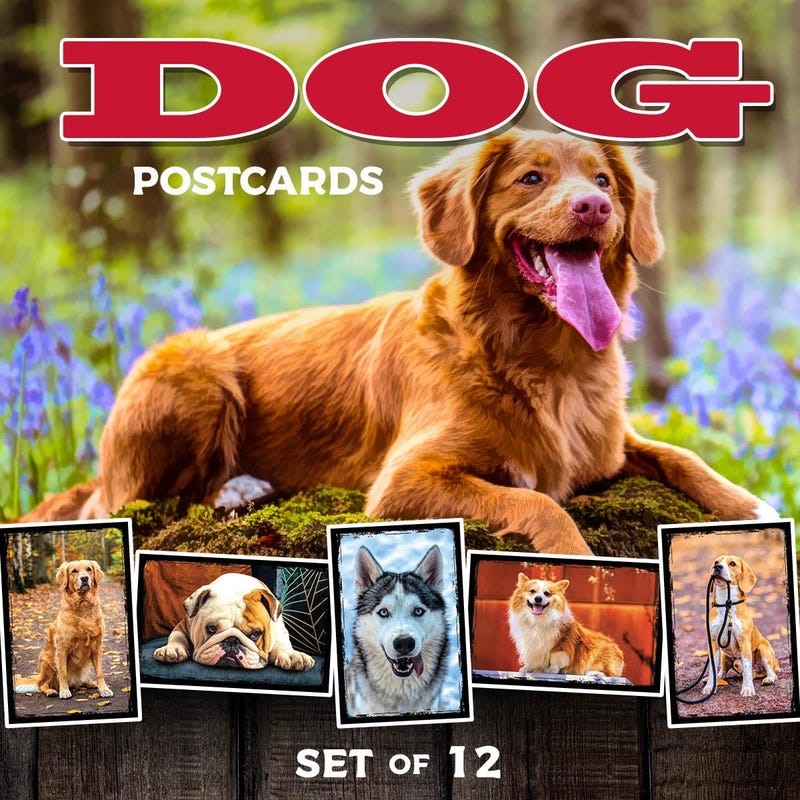 Dog Postcard - Etsy
