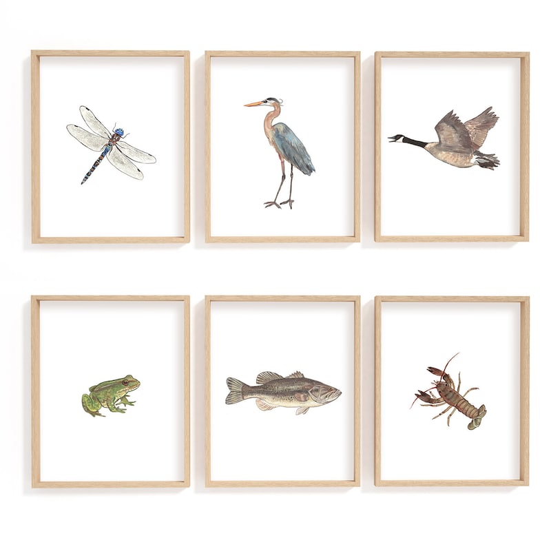 Dragonfly Lake Art Print - Etsy