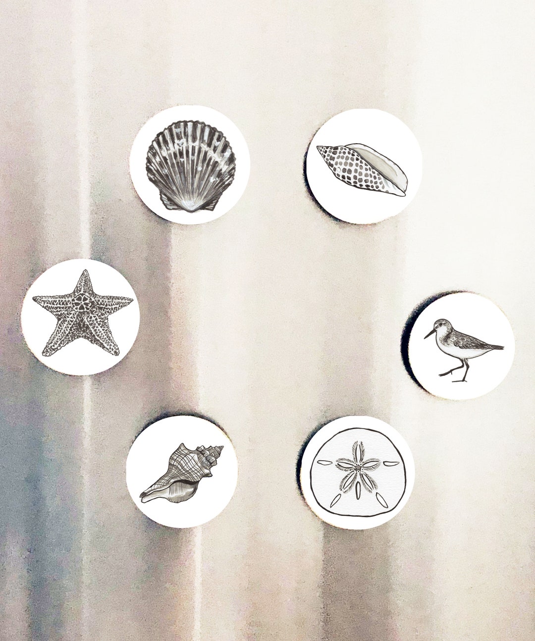 Beach Magnets, Set of 6 Magnets, Black and White, Conch Shell, Junonia ...