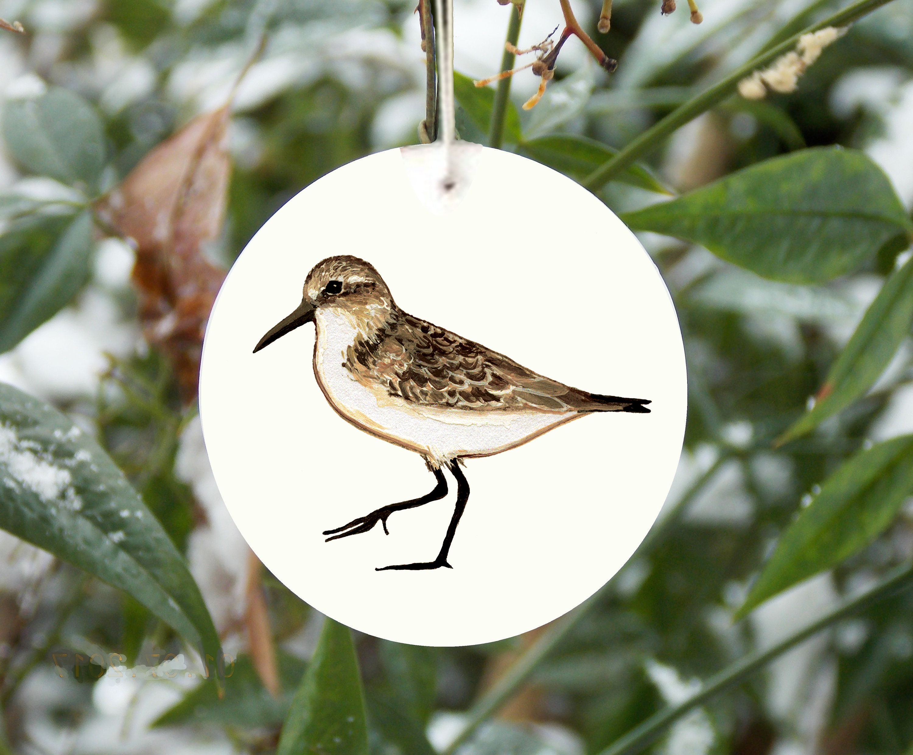 Realistic Sandpiper Ornament Personalized Customizable Shore - Etsy