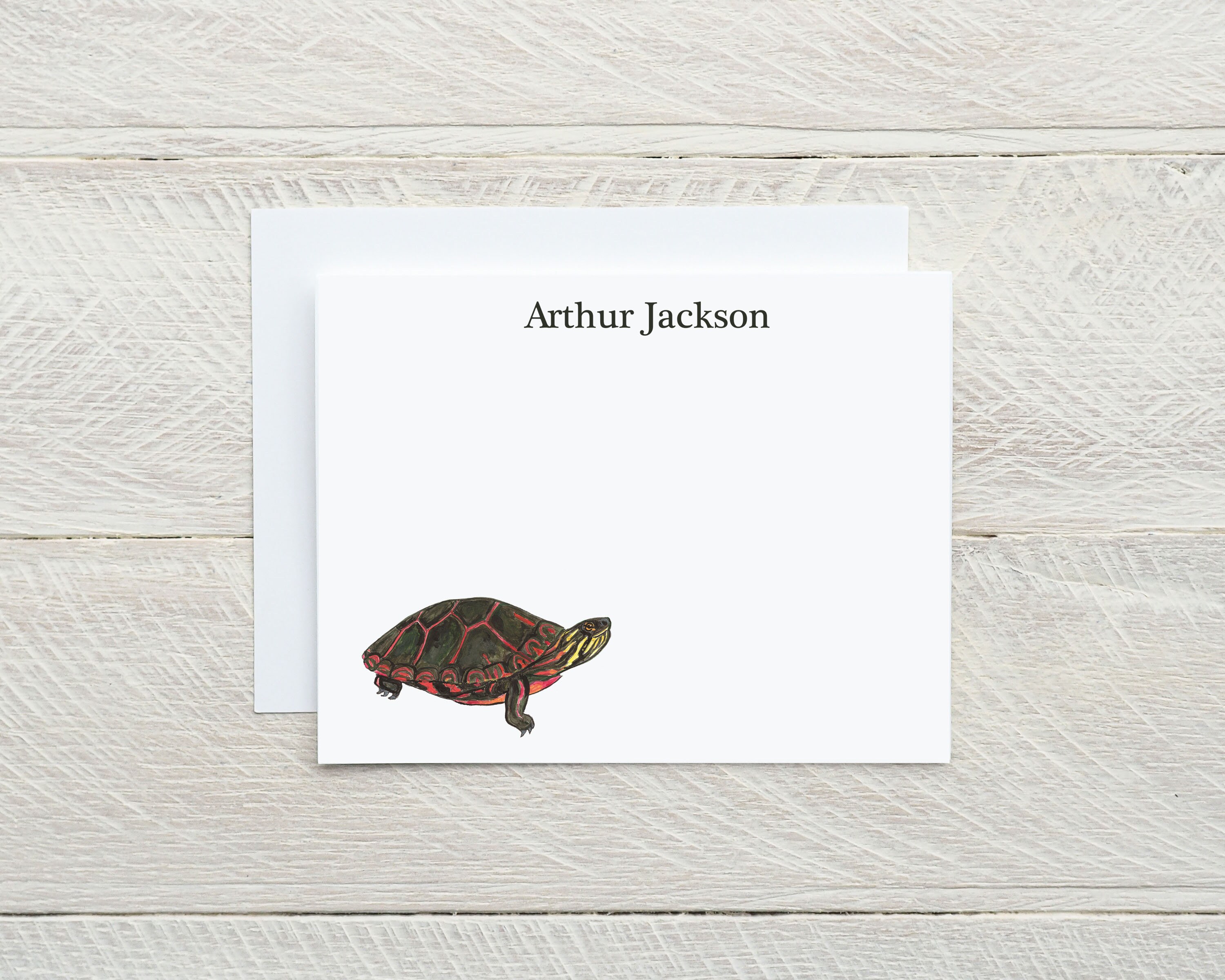 Personalized Turtle Stationery, Turtle Notecards, Box Turtle, Painted ...