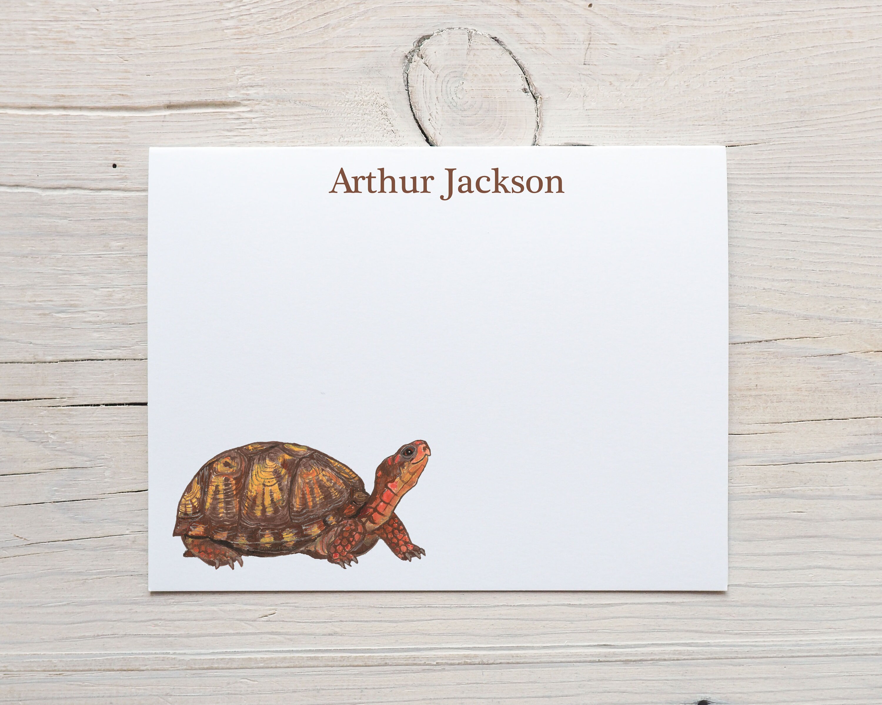 Personalized Turtle Stationery Turtle Notecards Box Turtle | Etsy