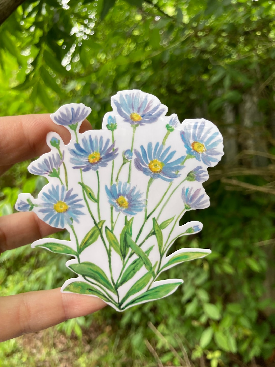 Aster Sticker, Water Resistant, Flower Decal, September Birth Flower ...