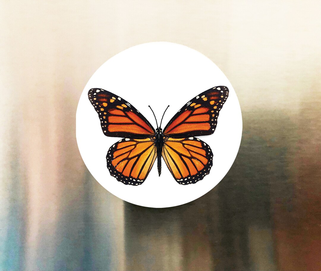 Monarch Butterfly Magnet Fridge Magnet Gift for Nature - Etsy