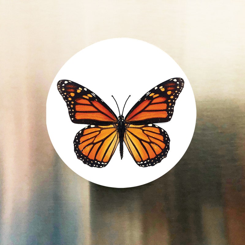 Butterfly Magnet - Etsy
